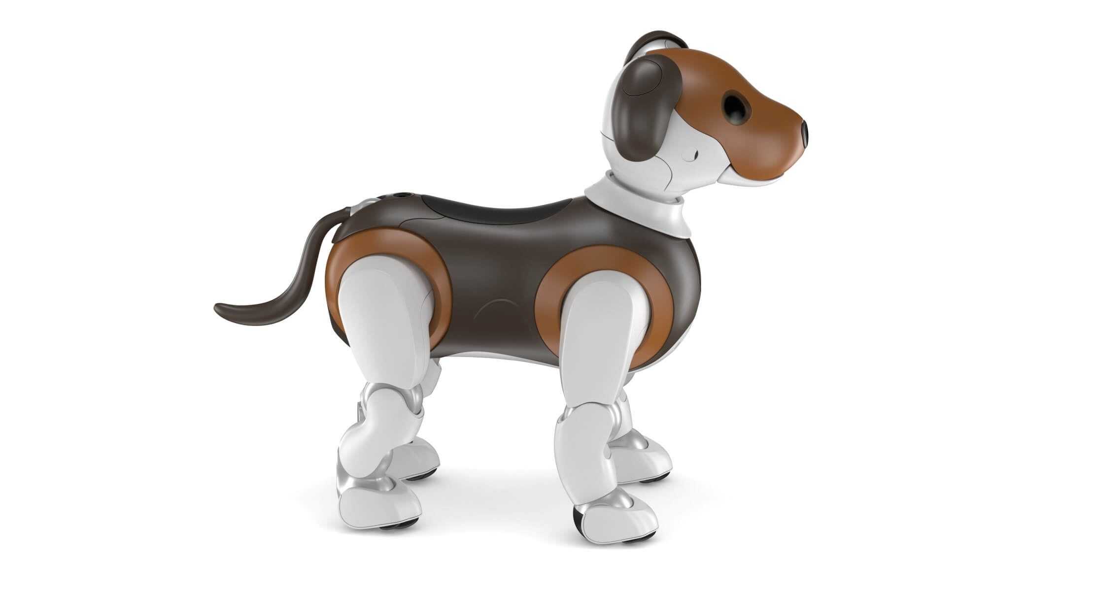 Aibo Choco - 3D Model by frezzy