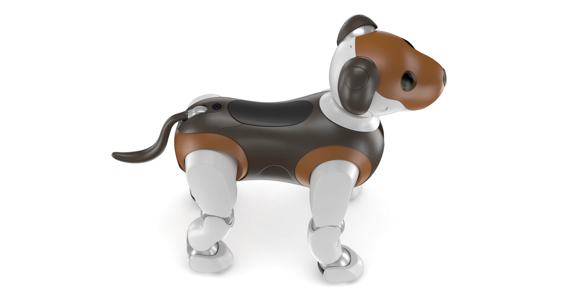Aibo Choco - 3D Model by frezzy