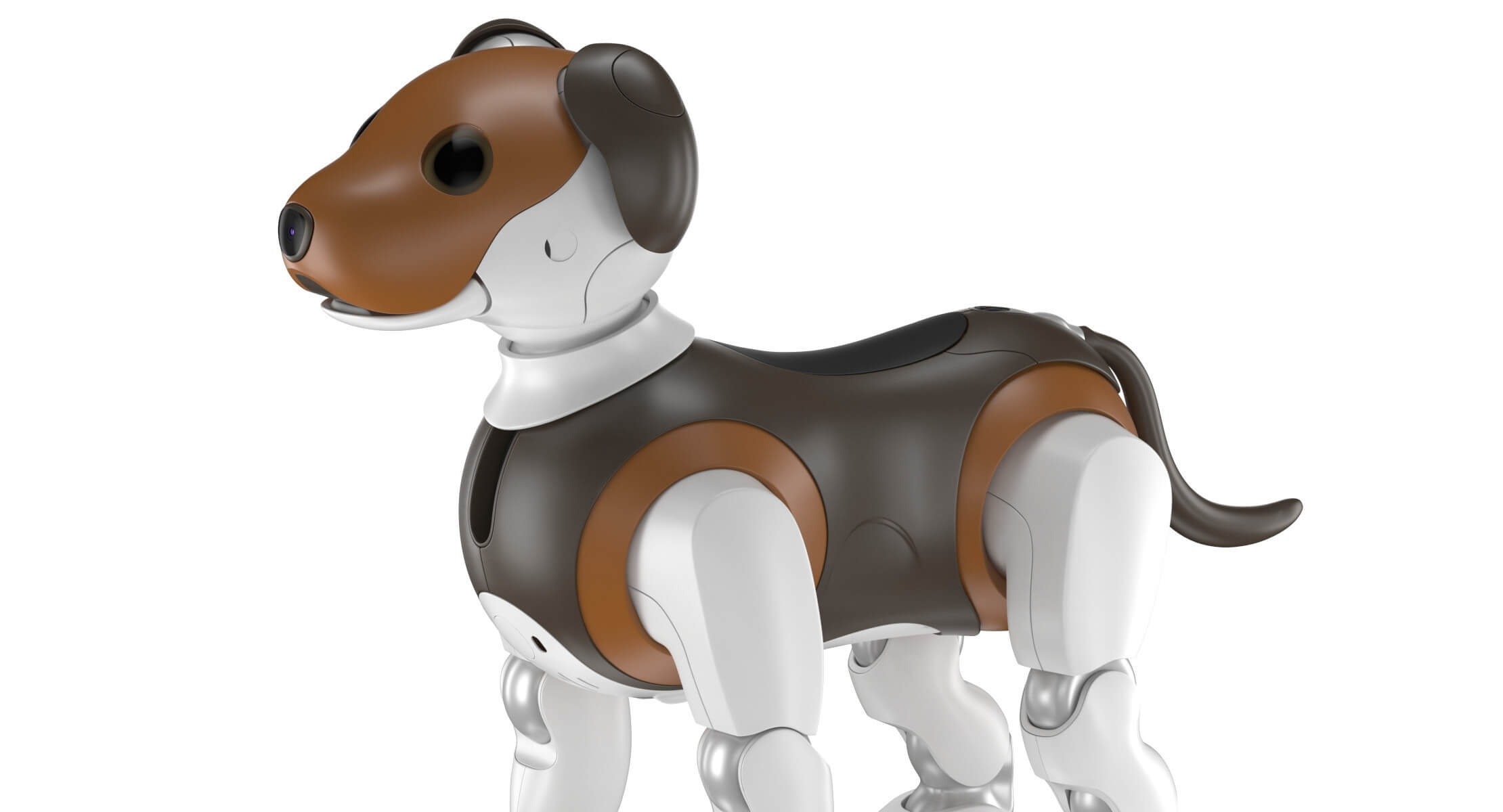 Aibo Choco - 3D Model by frezzy