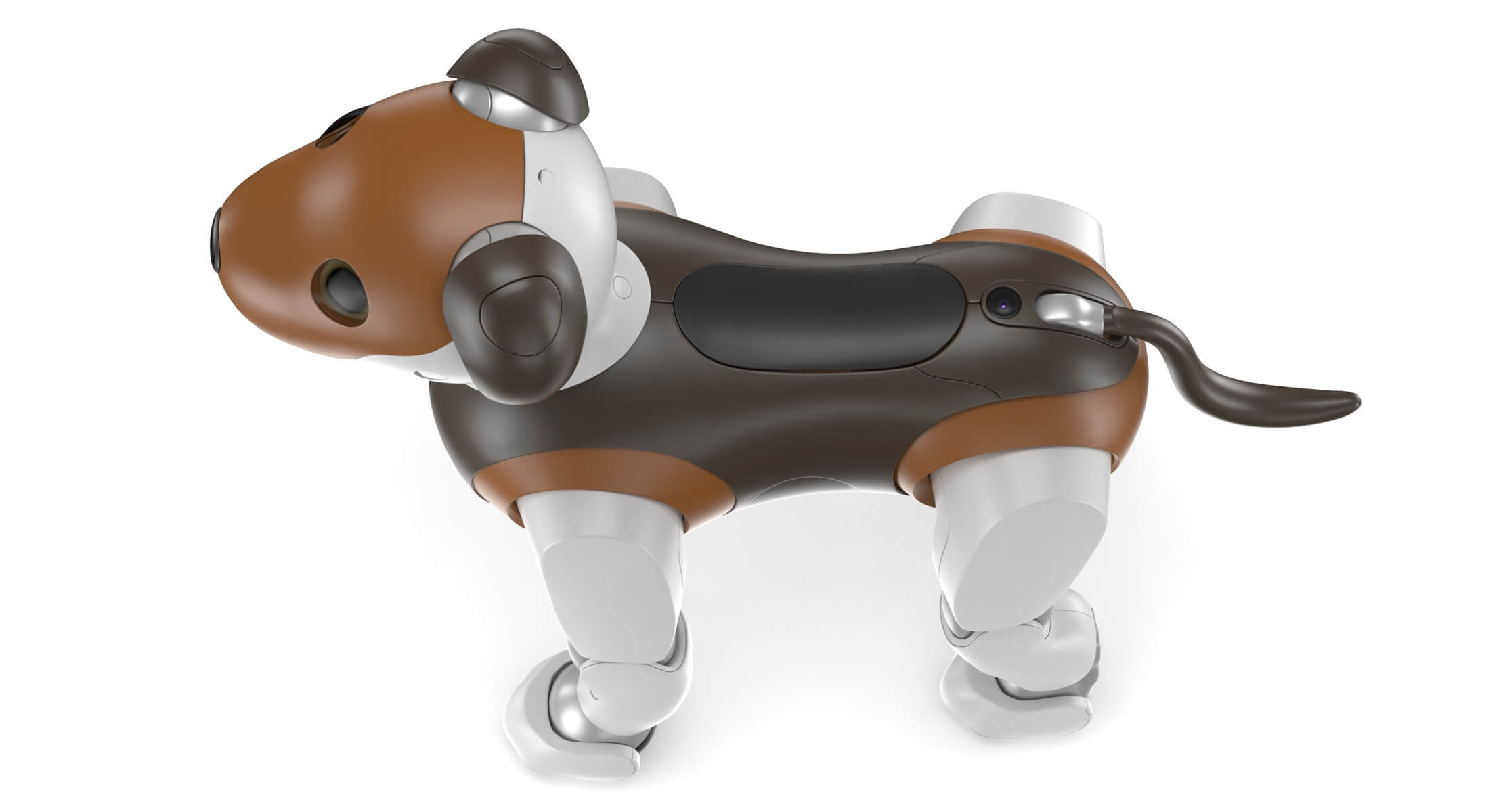 Aibo Choco - 3D Model by frezzy