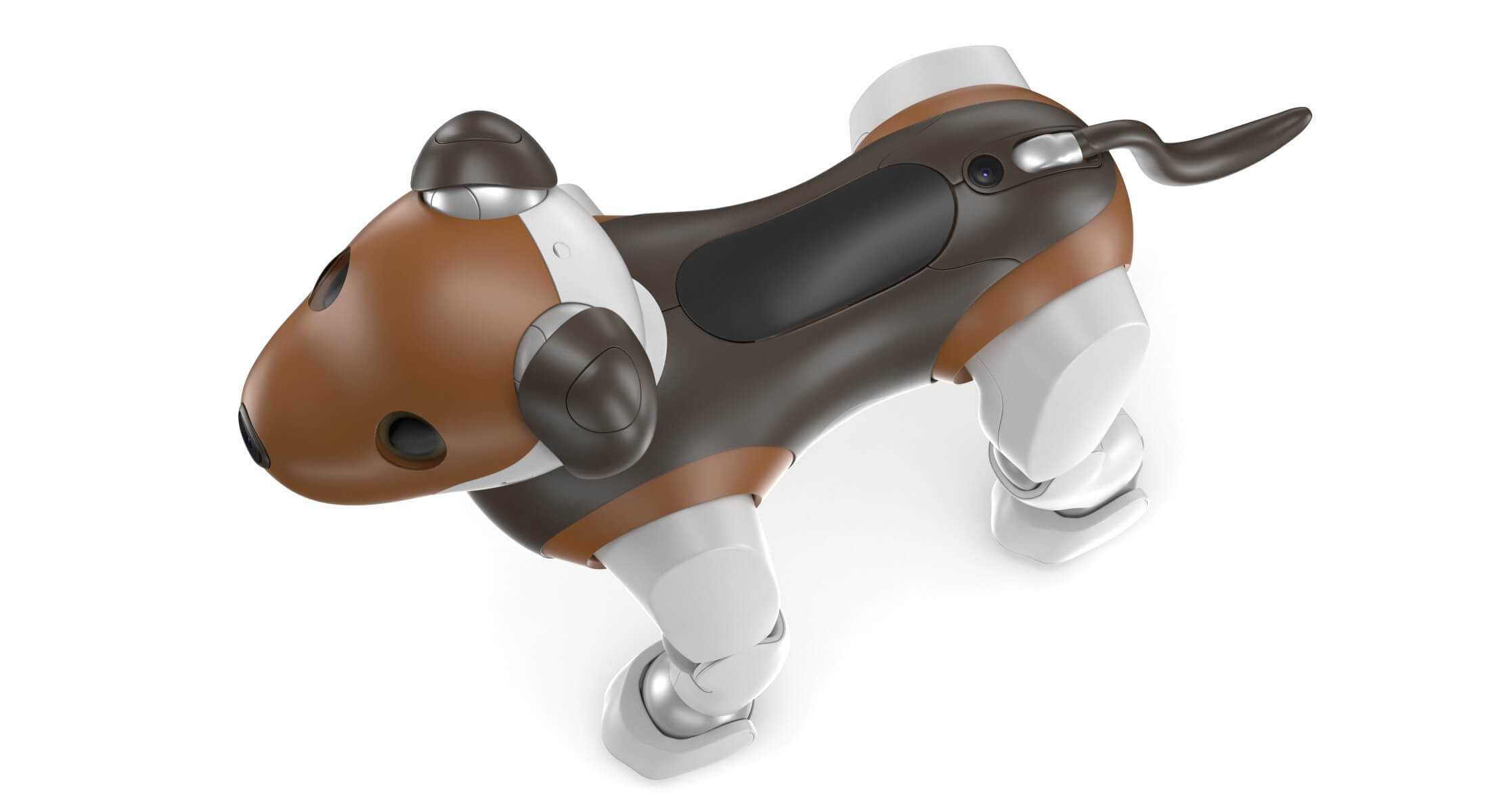 Aibo Choco - 3D Model by frezzy