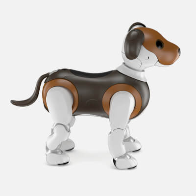 Aibo Choco - 3D Model by frezzy