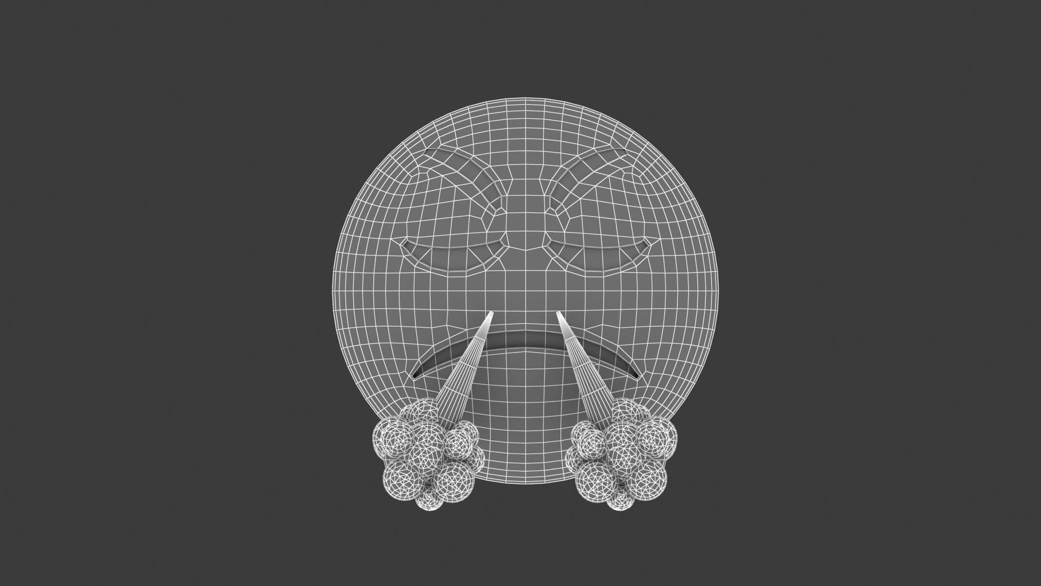 Nose Wireframe