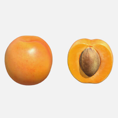 Apricot Low Poly - 3D Model by frezzy