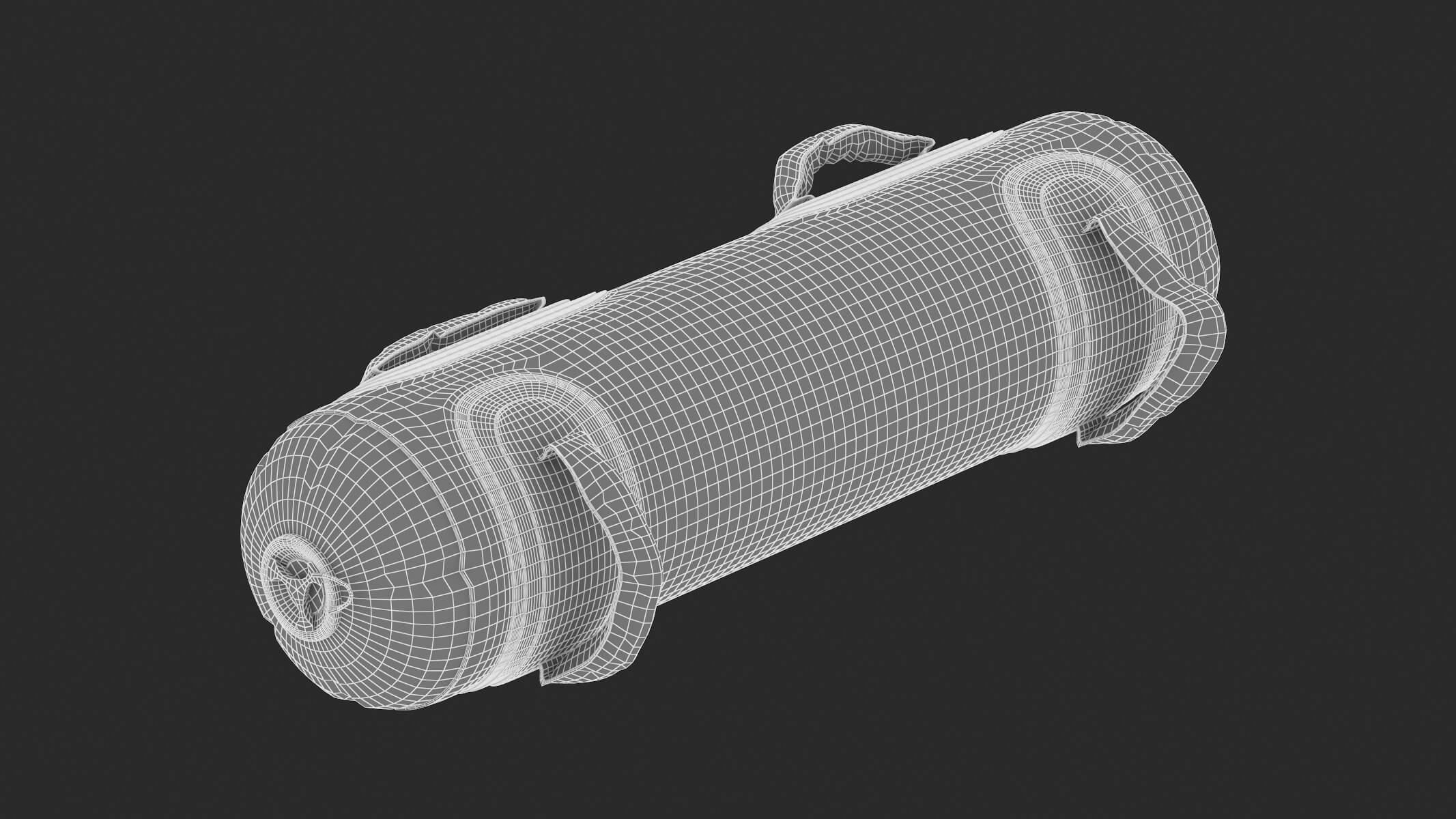 Aqua Bag - 3D Model by frezzy
