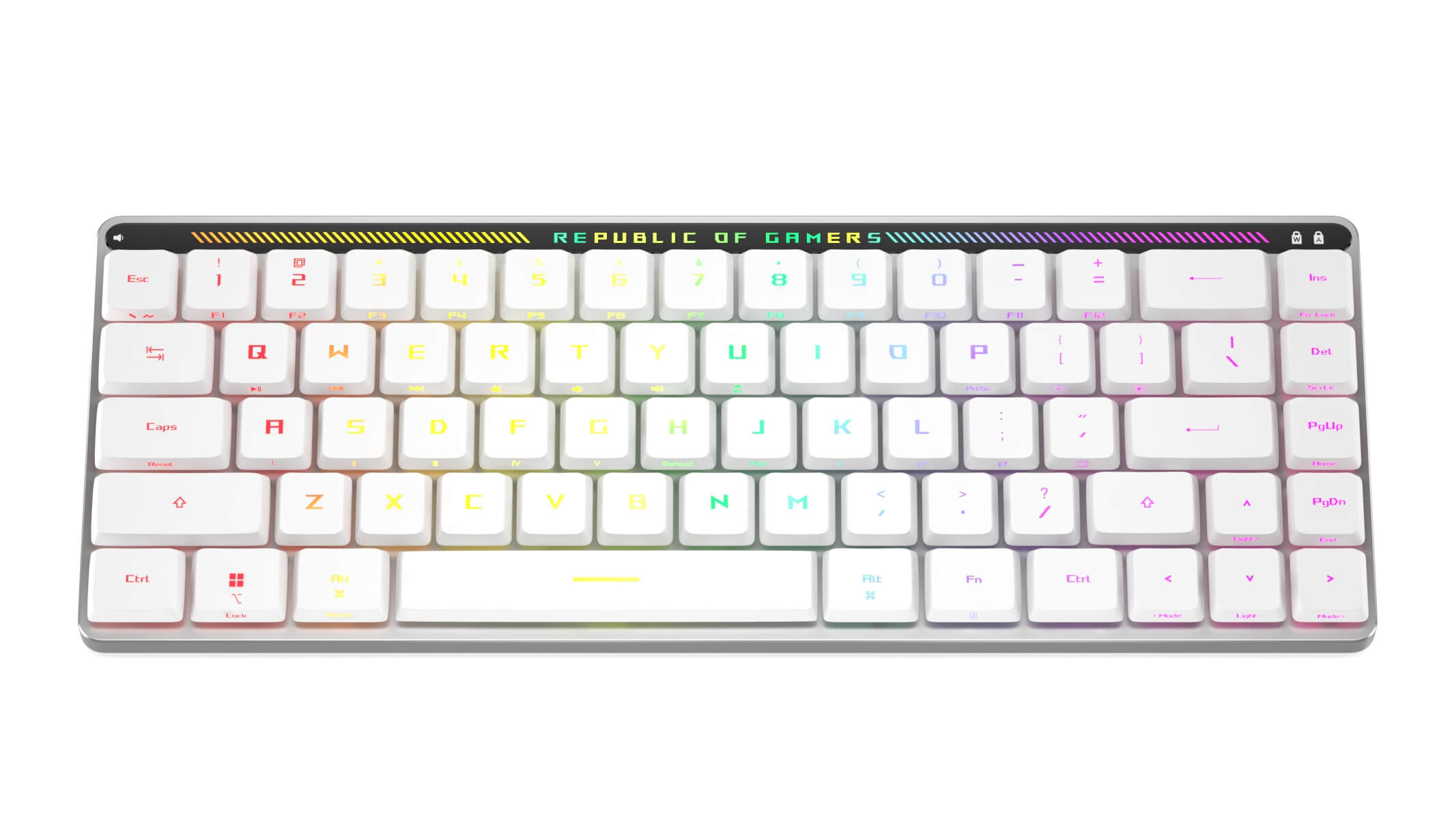 ASUS Rog Falchion RX Low Profile - 3D Model by frezzy