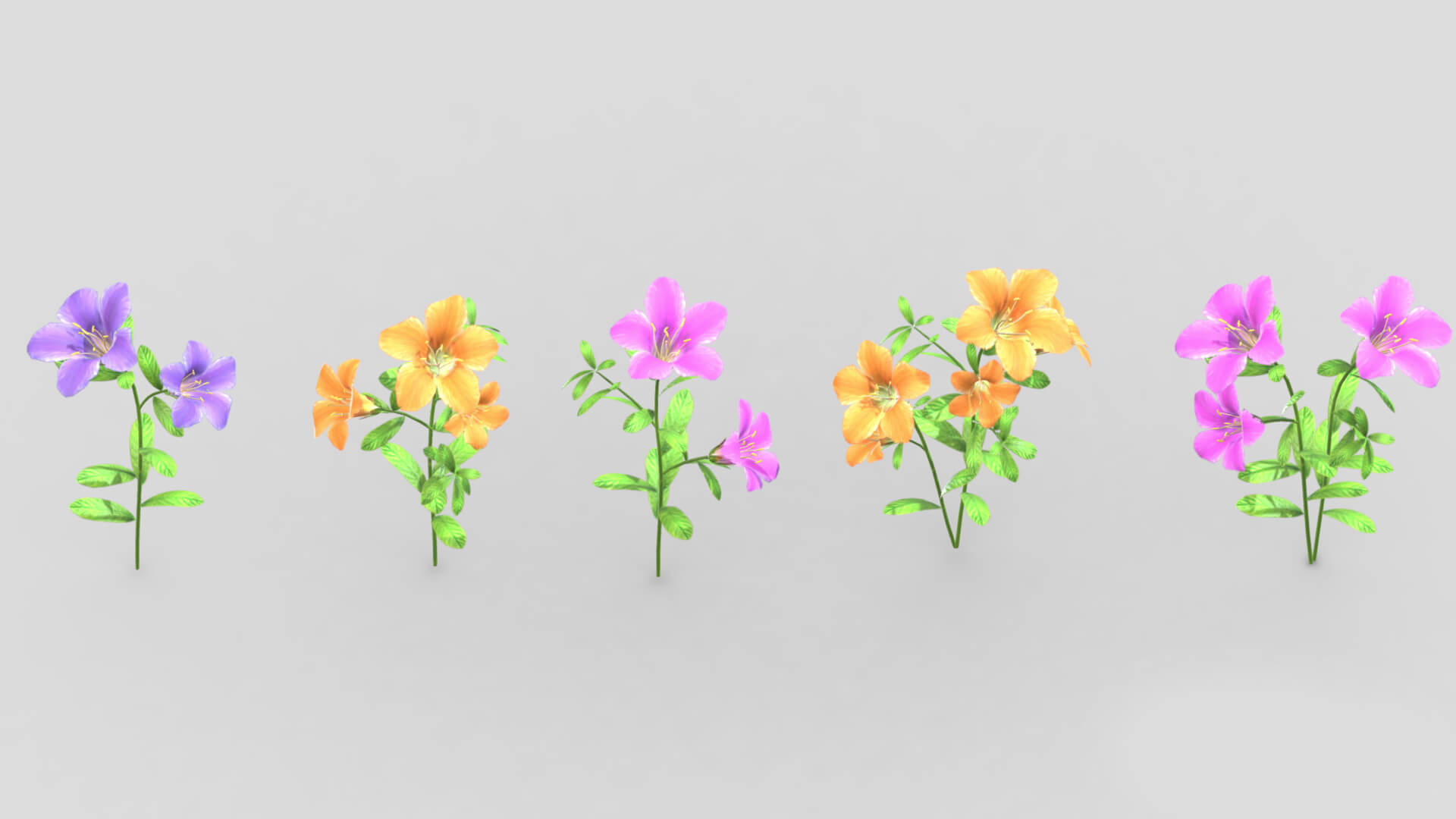 Azalea Flower Low Poly - 3D Model by frezzy