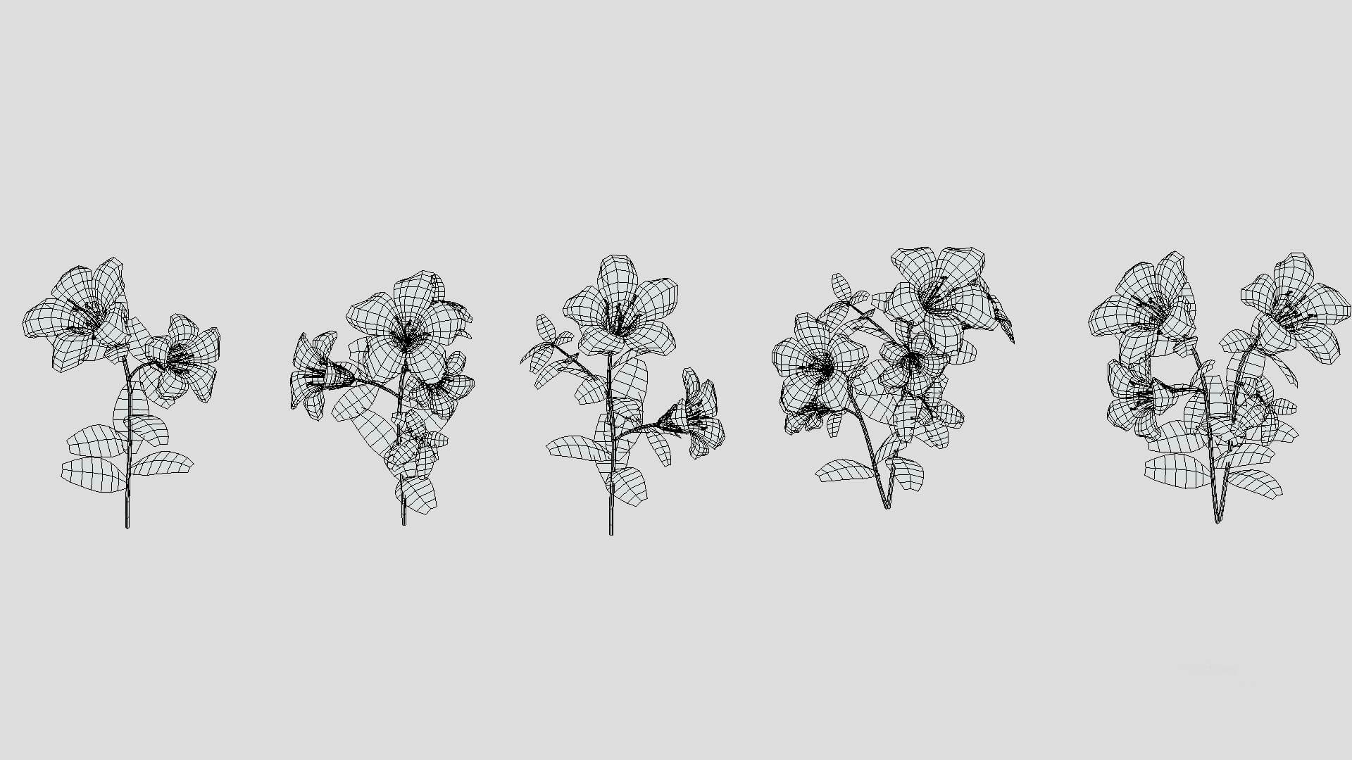 Azalea Flower Low Poly - 3D Model by frezzy
