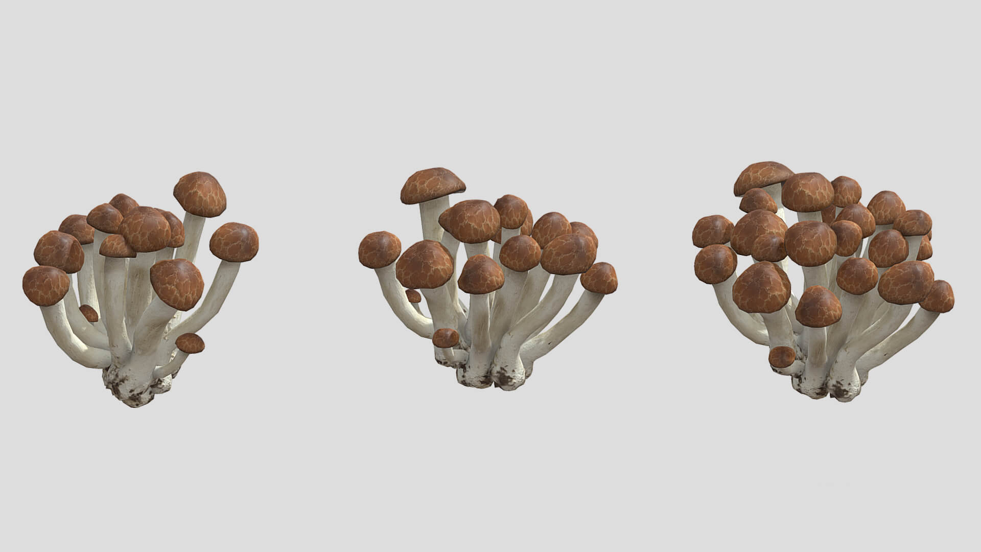 Beech Mushroom Low Poly - 3D Model by frezzy