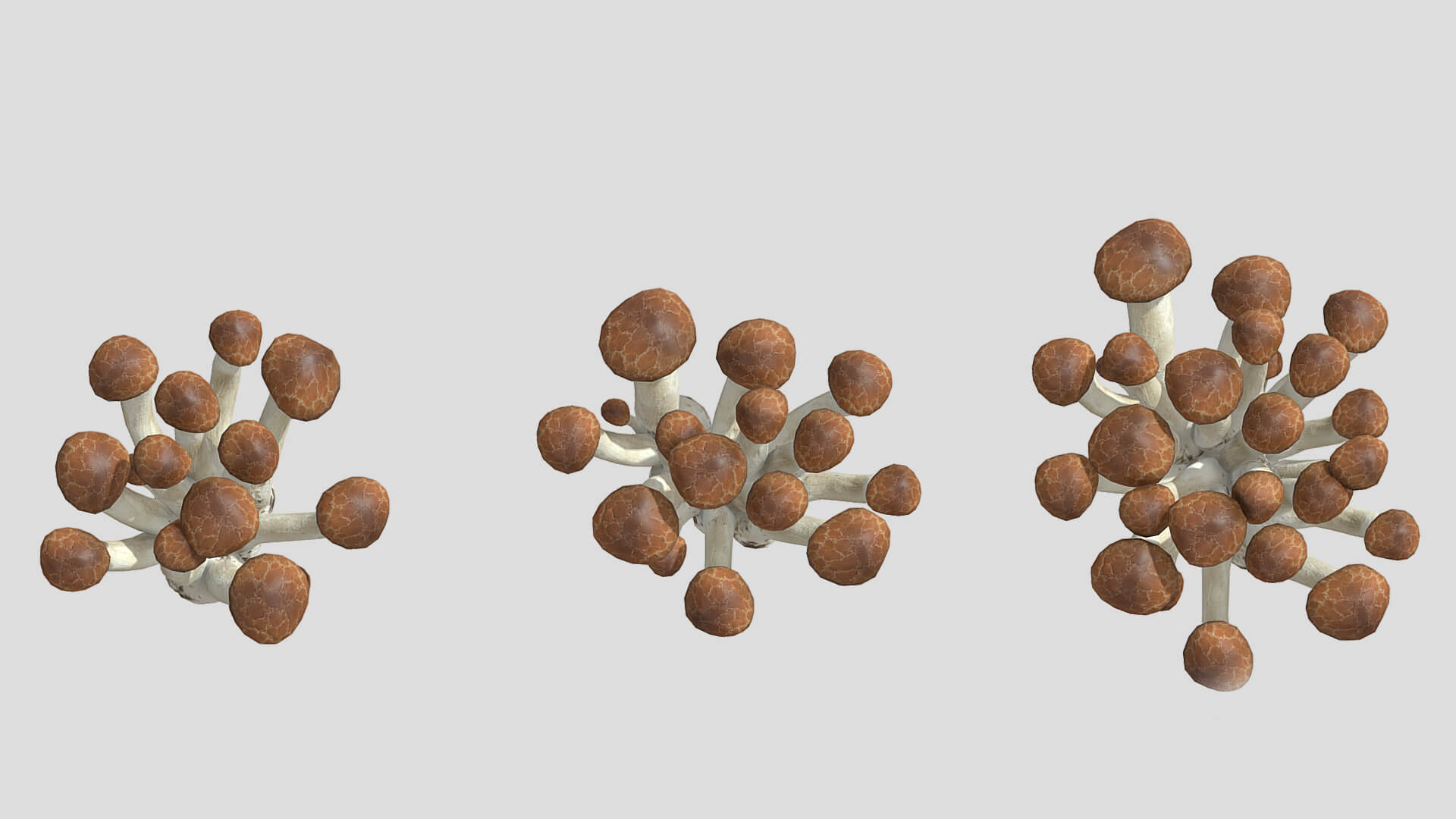Beech Mushroom Low Poly - 3D Model by frezzy
