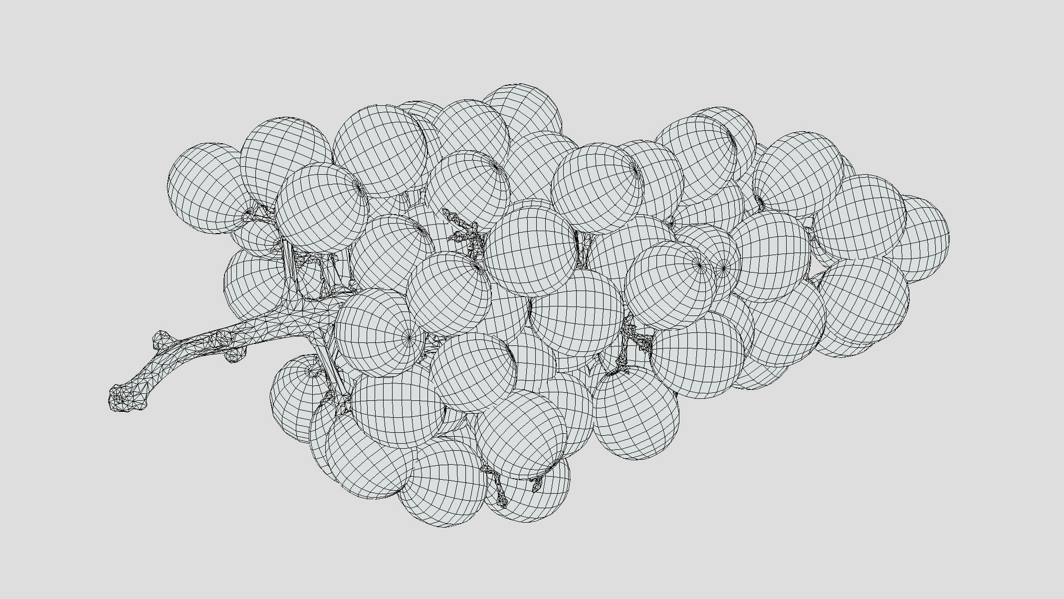 Black Grape Low Poly - 3D Model by frezzy