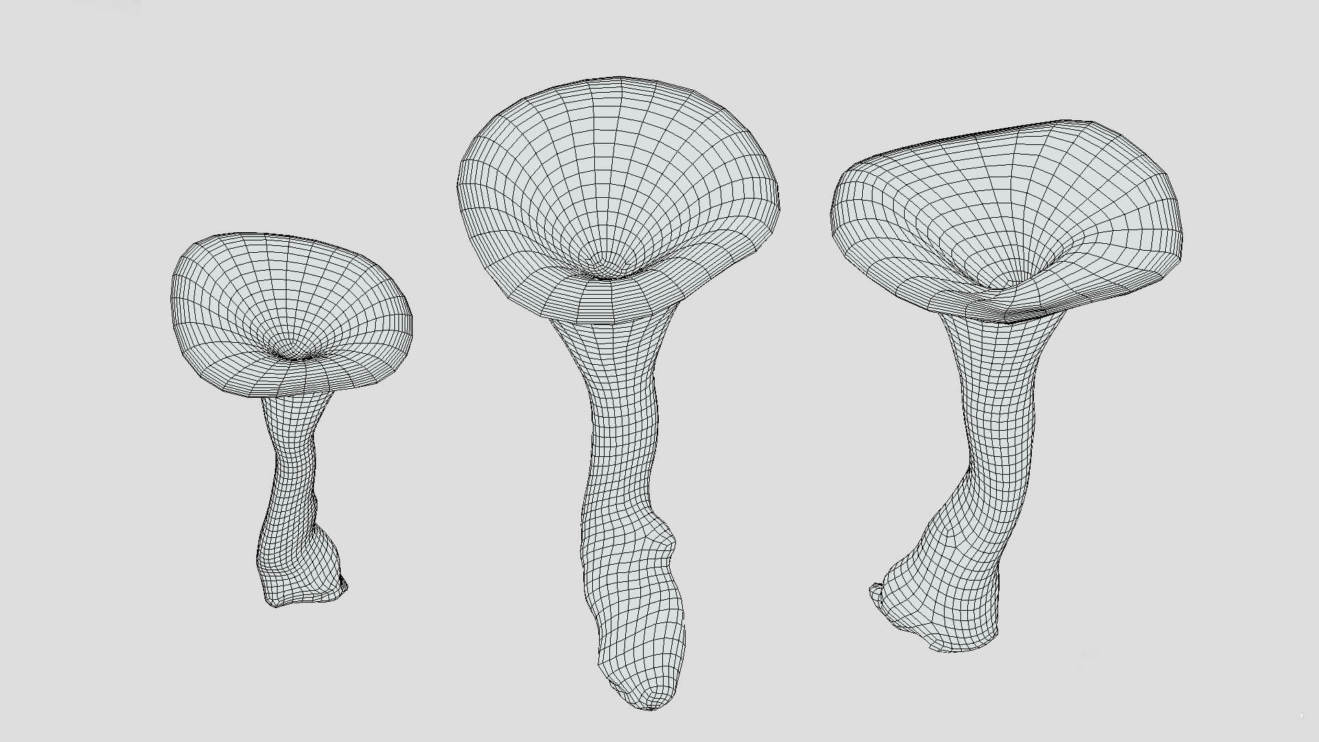 Black Trumpet Mushroom Low Poly - 3D Model by frezzy