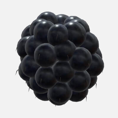 Blackberry Fruit Low Poly - 3D Model by frezzy