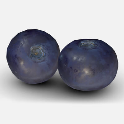 Blueberry Low Poly - 3D Model by frezzy