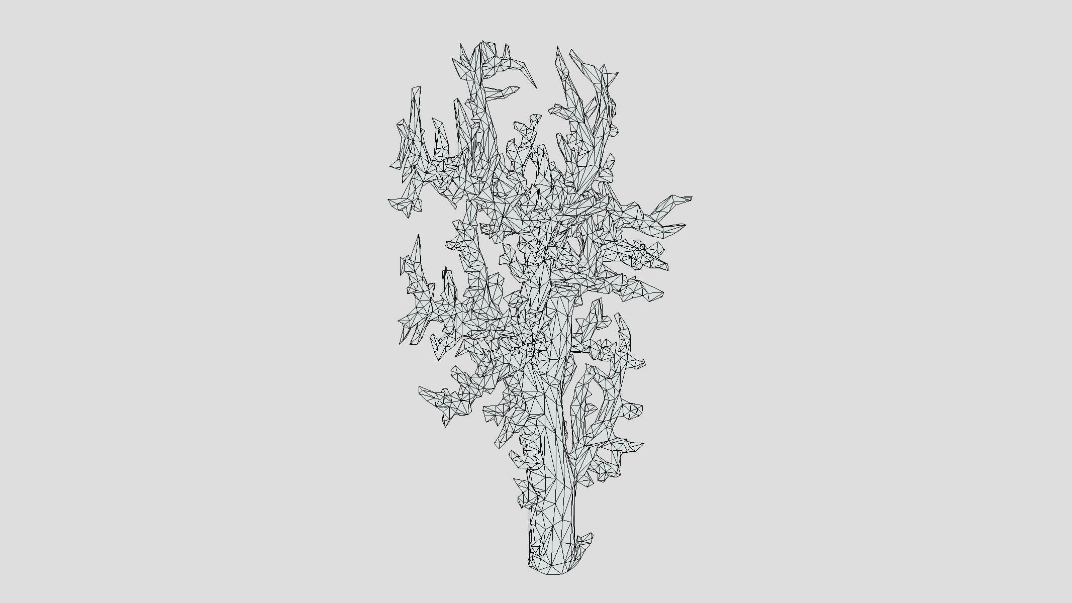 Branch Coral Low Poly - 3D Model by frezzy