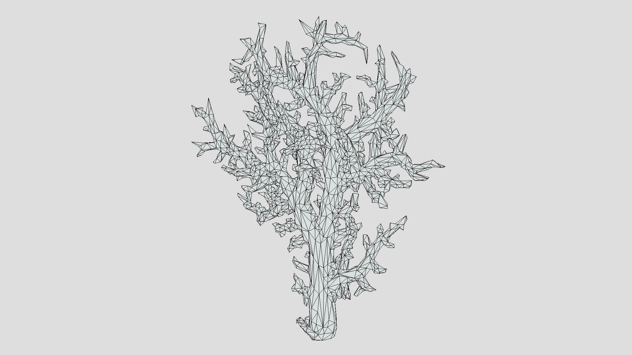 Branch Coral Low Poly - 3D Model by frezzy