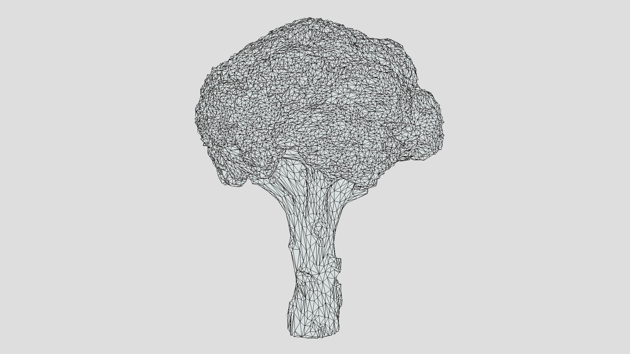 Broccoli Low Poly - 3D Model by frezzy