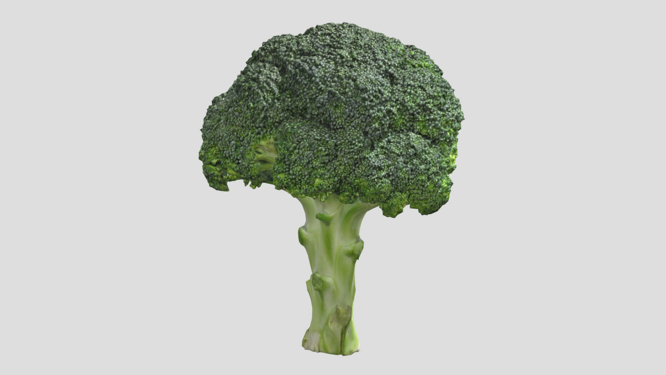 Broccoli Low Poly - 3D Model by frezzy
