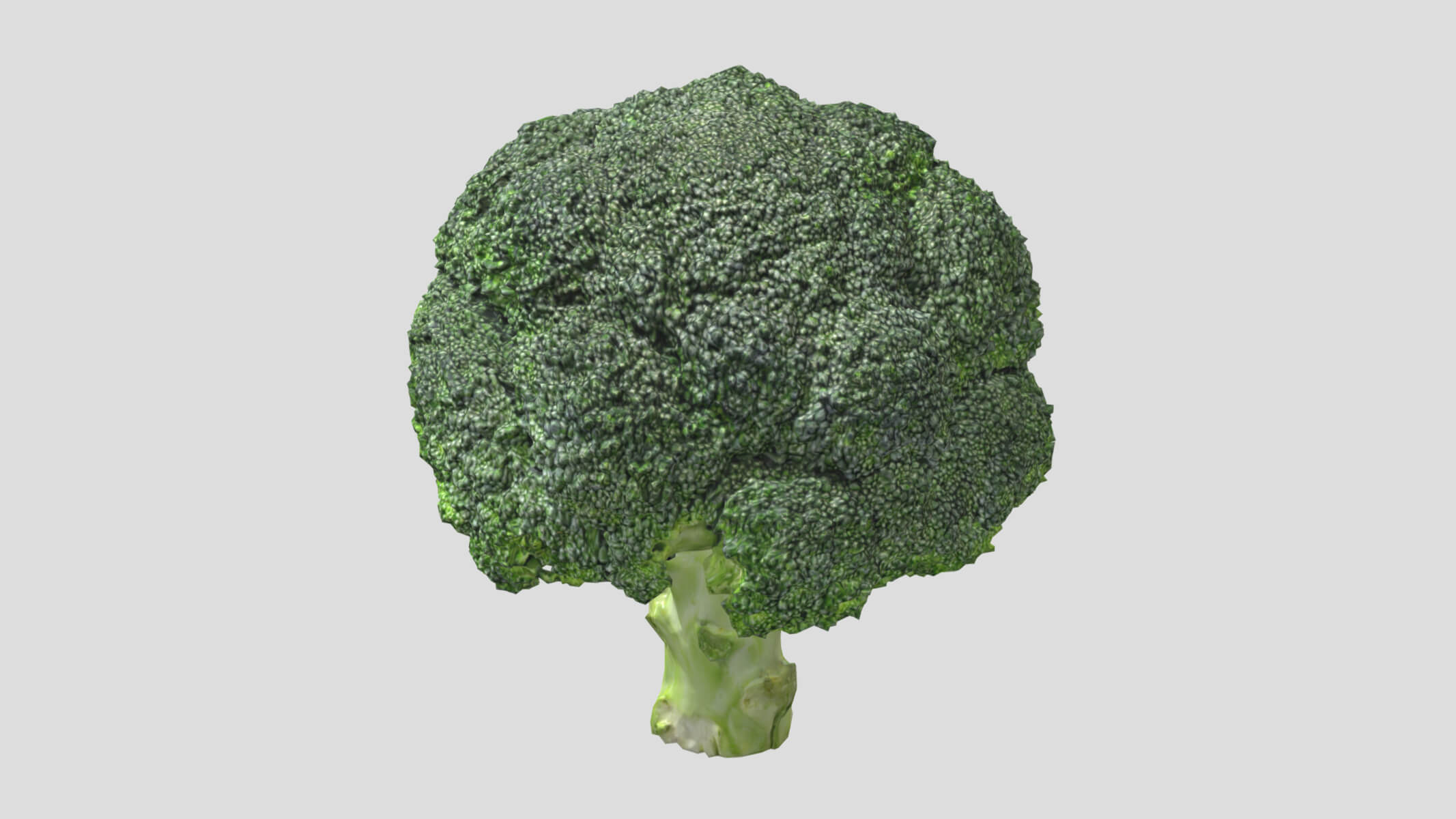 Broccoli Low Poly - 3D Model by frezzy