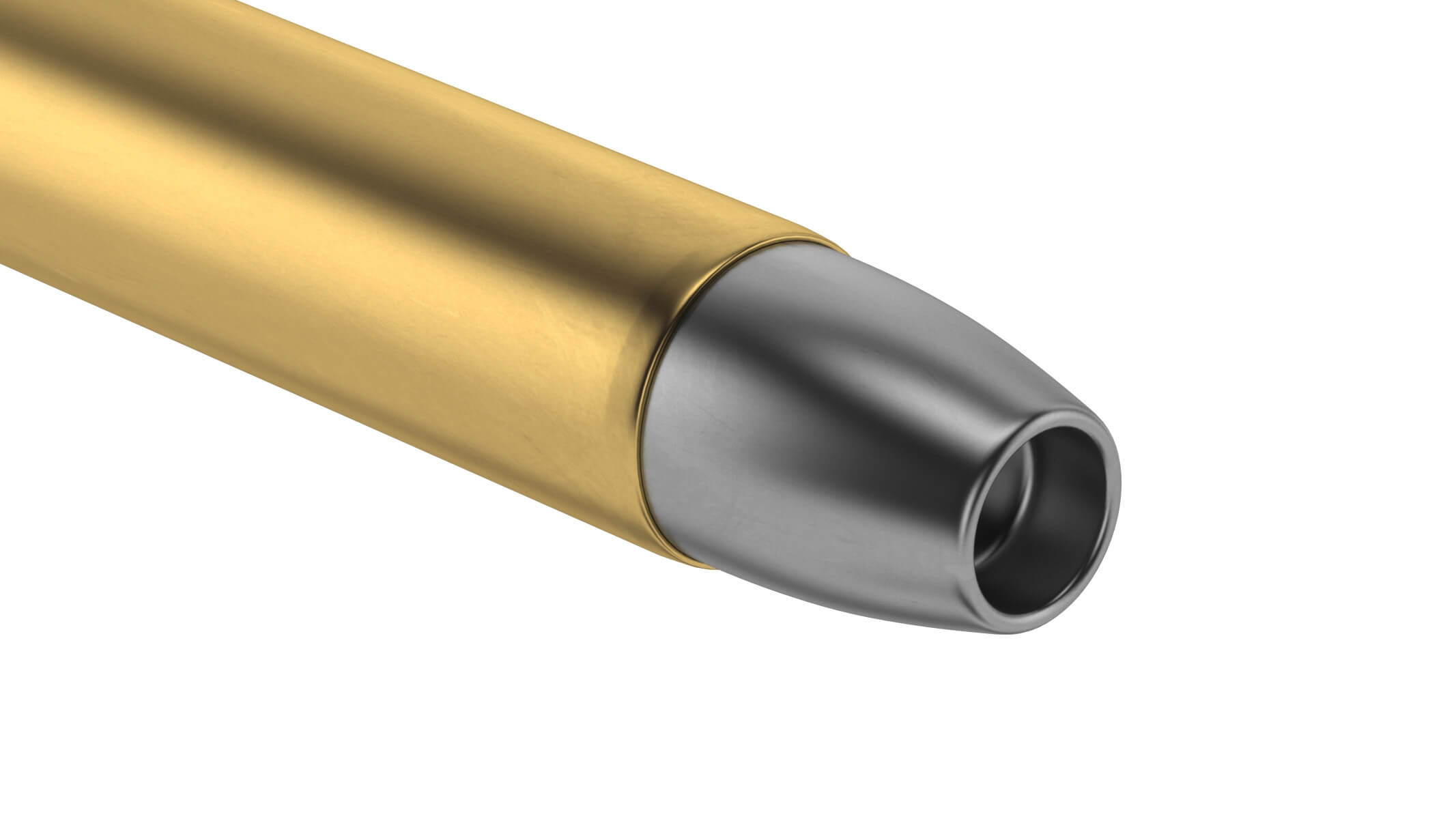 Bullet .45-70 3D Model by frezzy