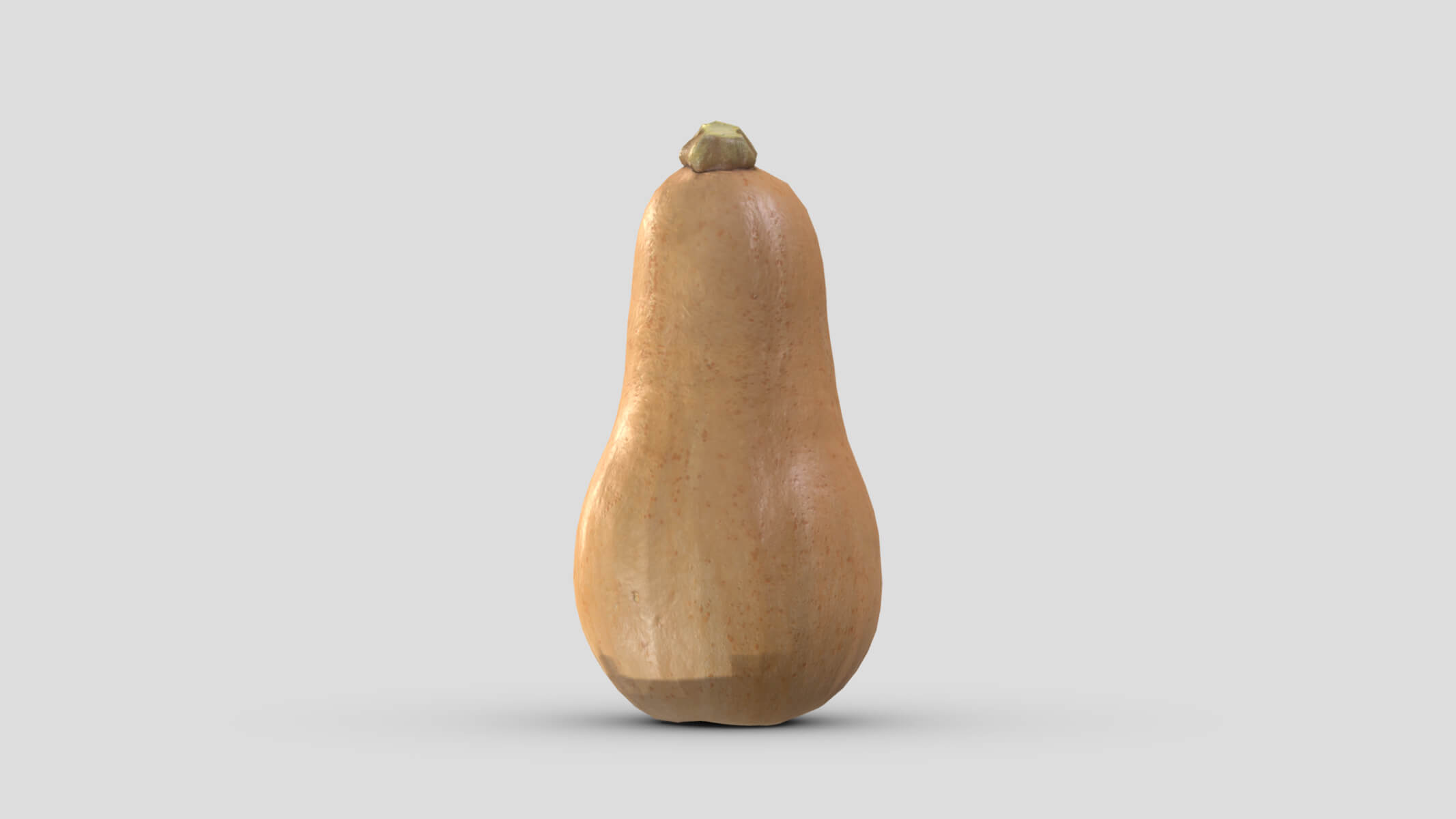 Butternut Squash Low Poly - 3D Model by frezzy