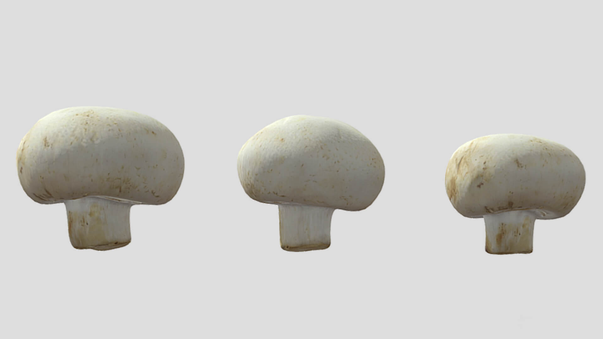 Button Mushroom Low Poly - 3D Model by frezzy
