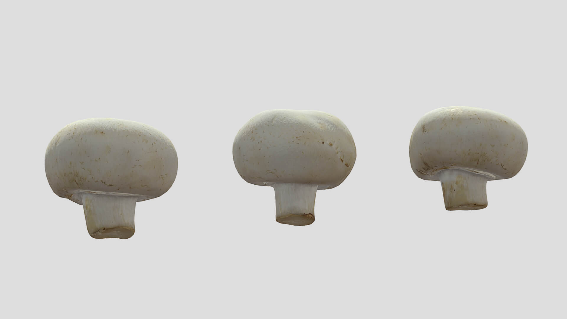 Button Mushroom Low Poly - 3D Model by frezzy
