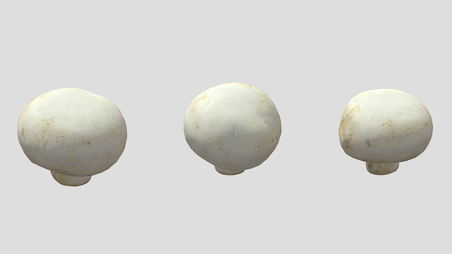Button Mushroom Low Poly - 3D Model by frezzy