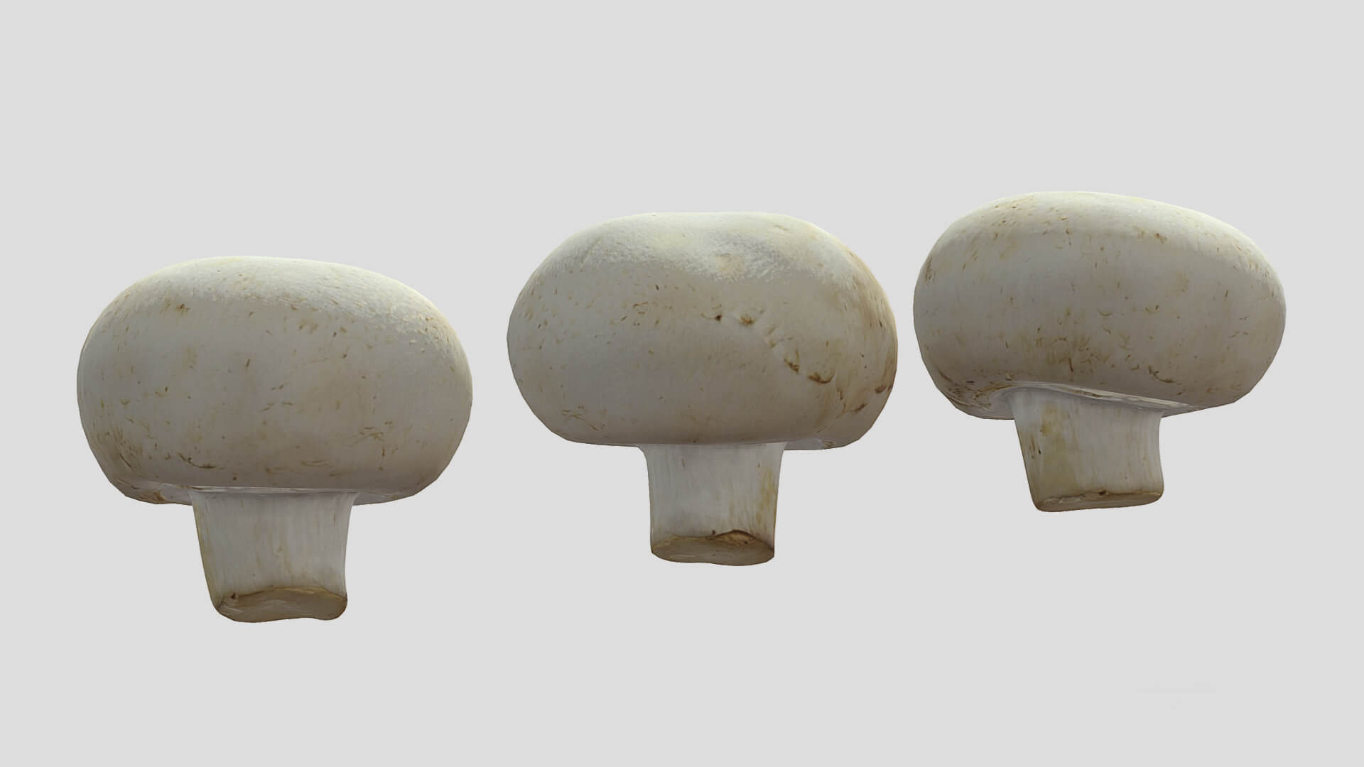 Button Mushroom Low Poly - 3D Model by frezzy