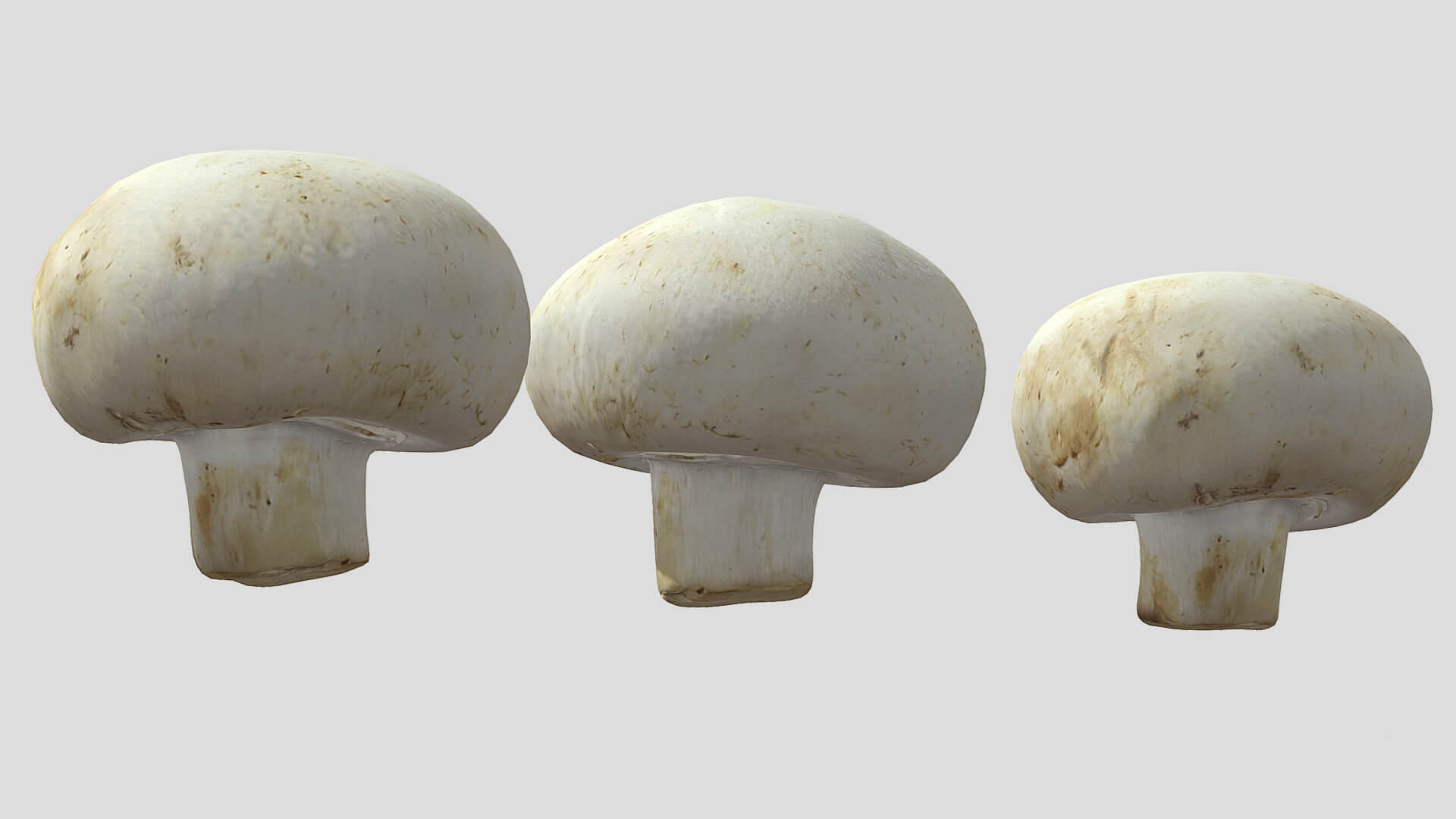 Button Mushroom Low Poly - 3D Model by frezzy