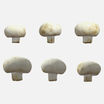 Button Mushroom Low Poly - 3D Model by frezzy
