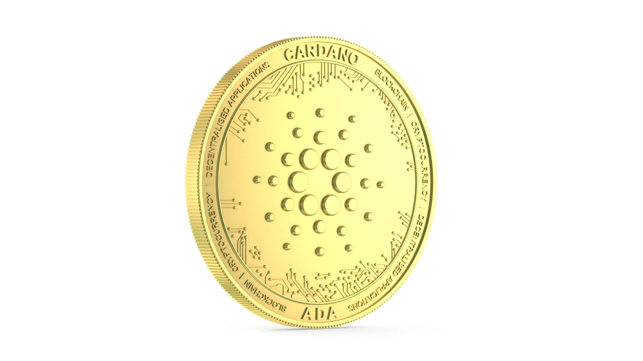 Cardano Coin - 3D Model by frezzy