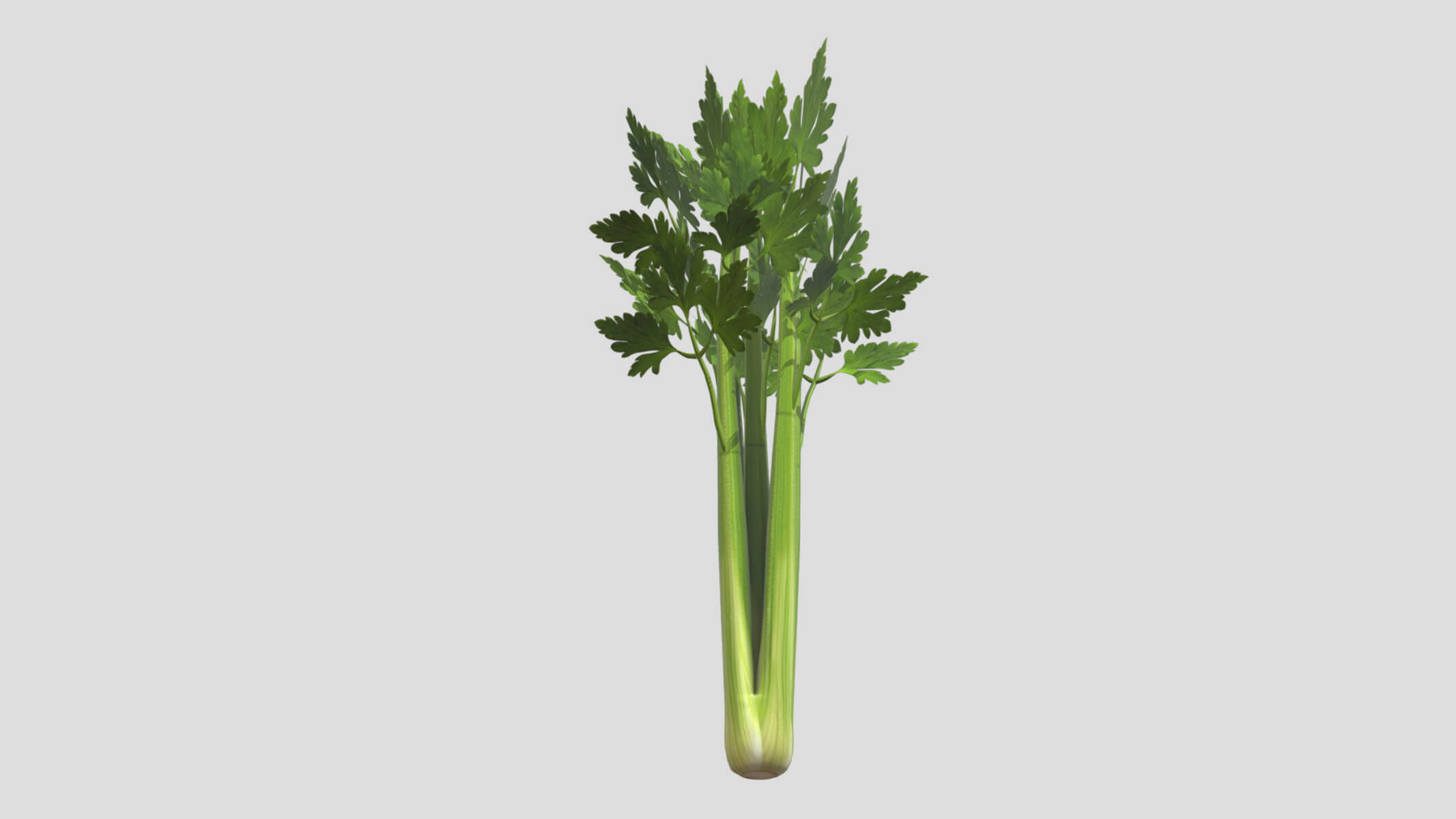 Celery Low Poly - 3D Model by frezzy