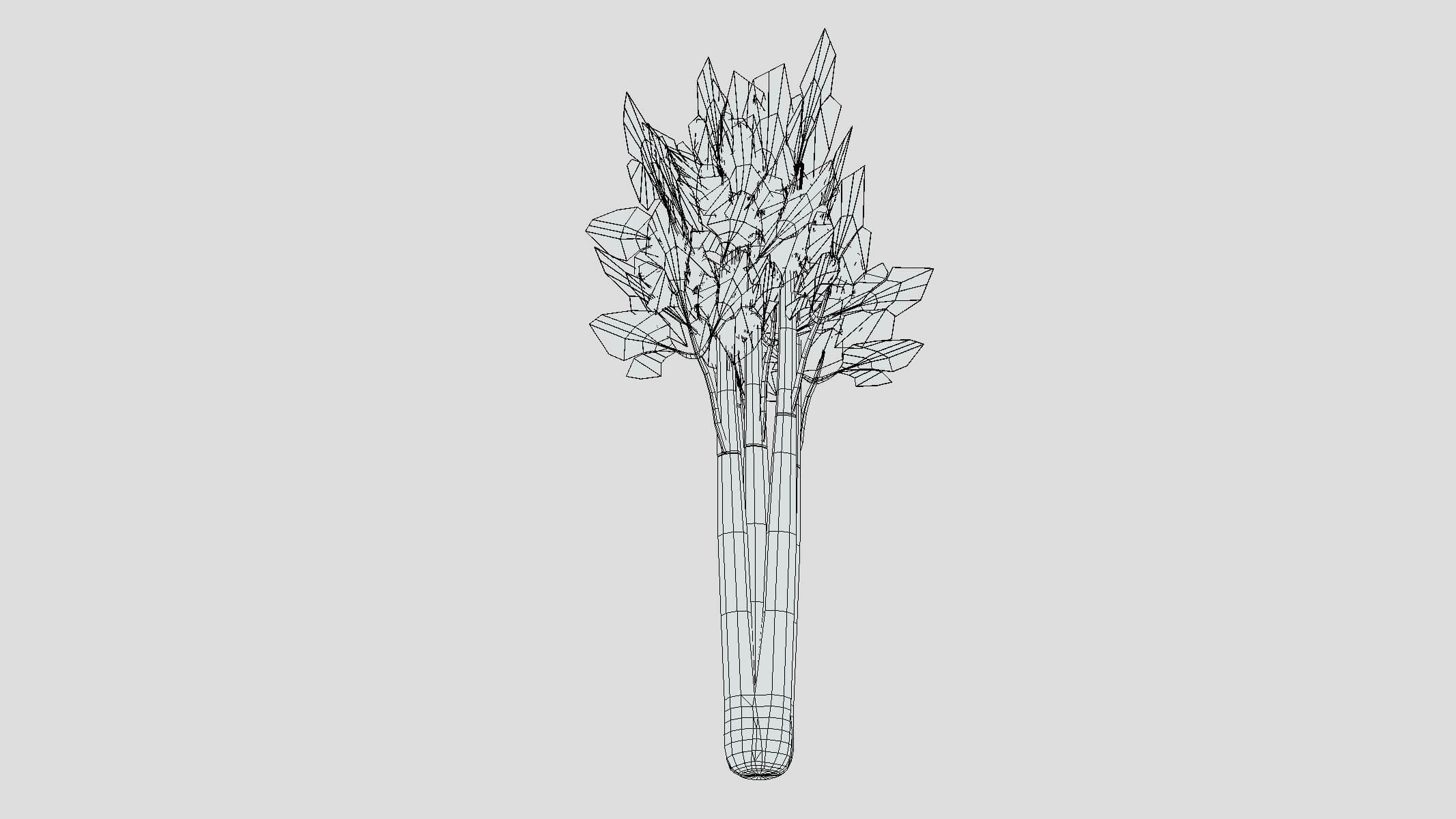 Celery Low Poly - 3D Model by frezzy