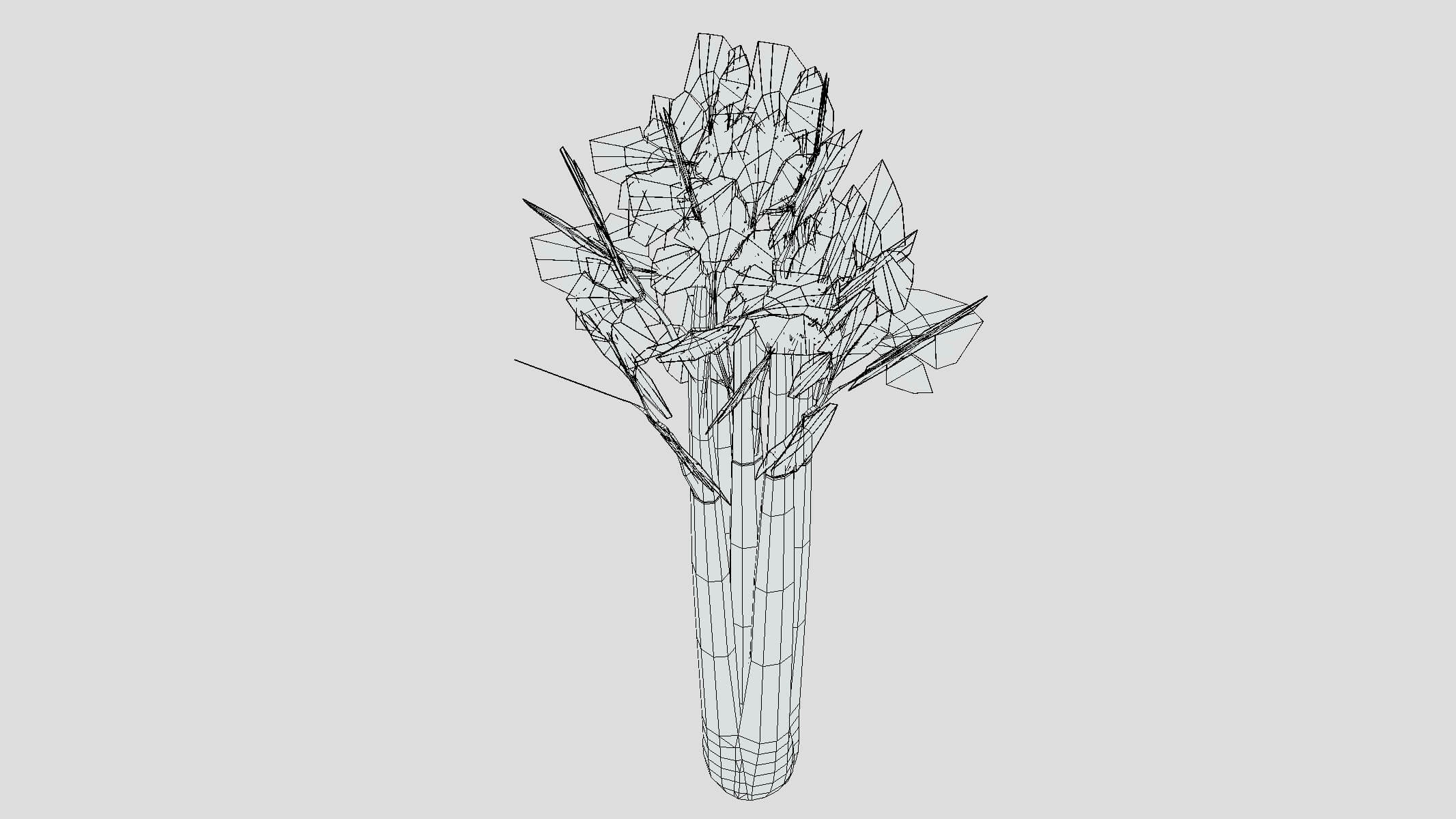 Celery Low Poly - 3D Model by frezzy