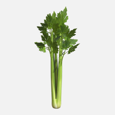 Celery Low Poly - 3D Model by frezzy