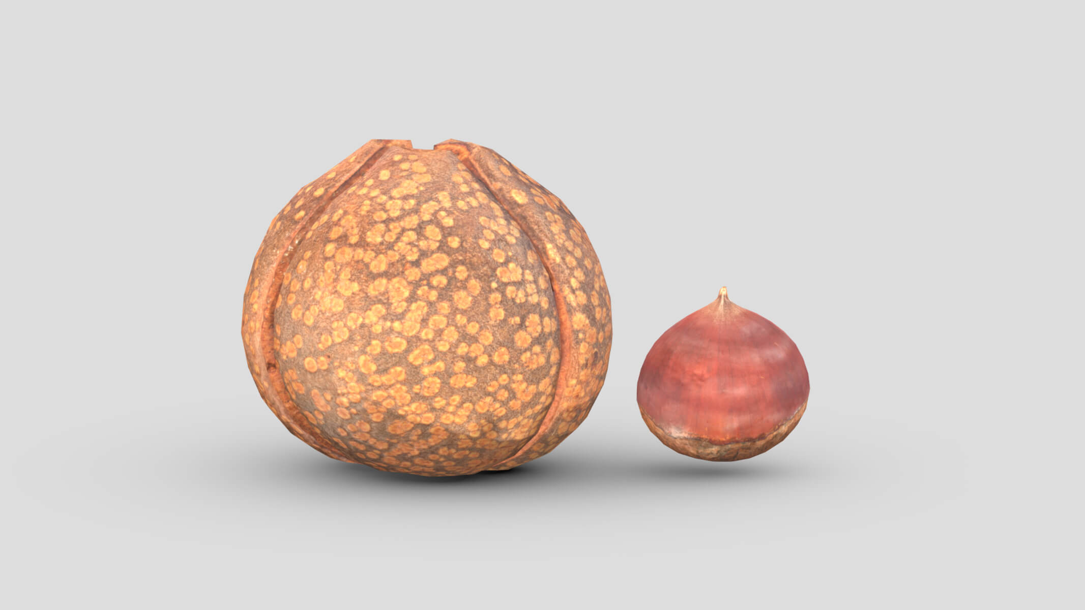 Chestnut Low Poly - 3D Model by frezzy