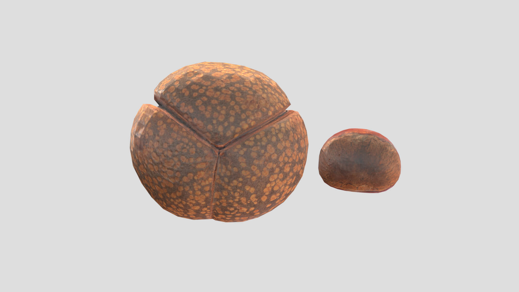 Chestnut Low Poly - 3D Model by frezzy