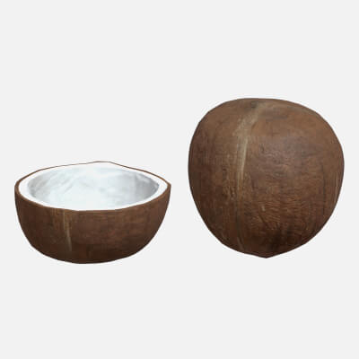 Coconut 01 Low Poly - 3D Model by frezzy