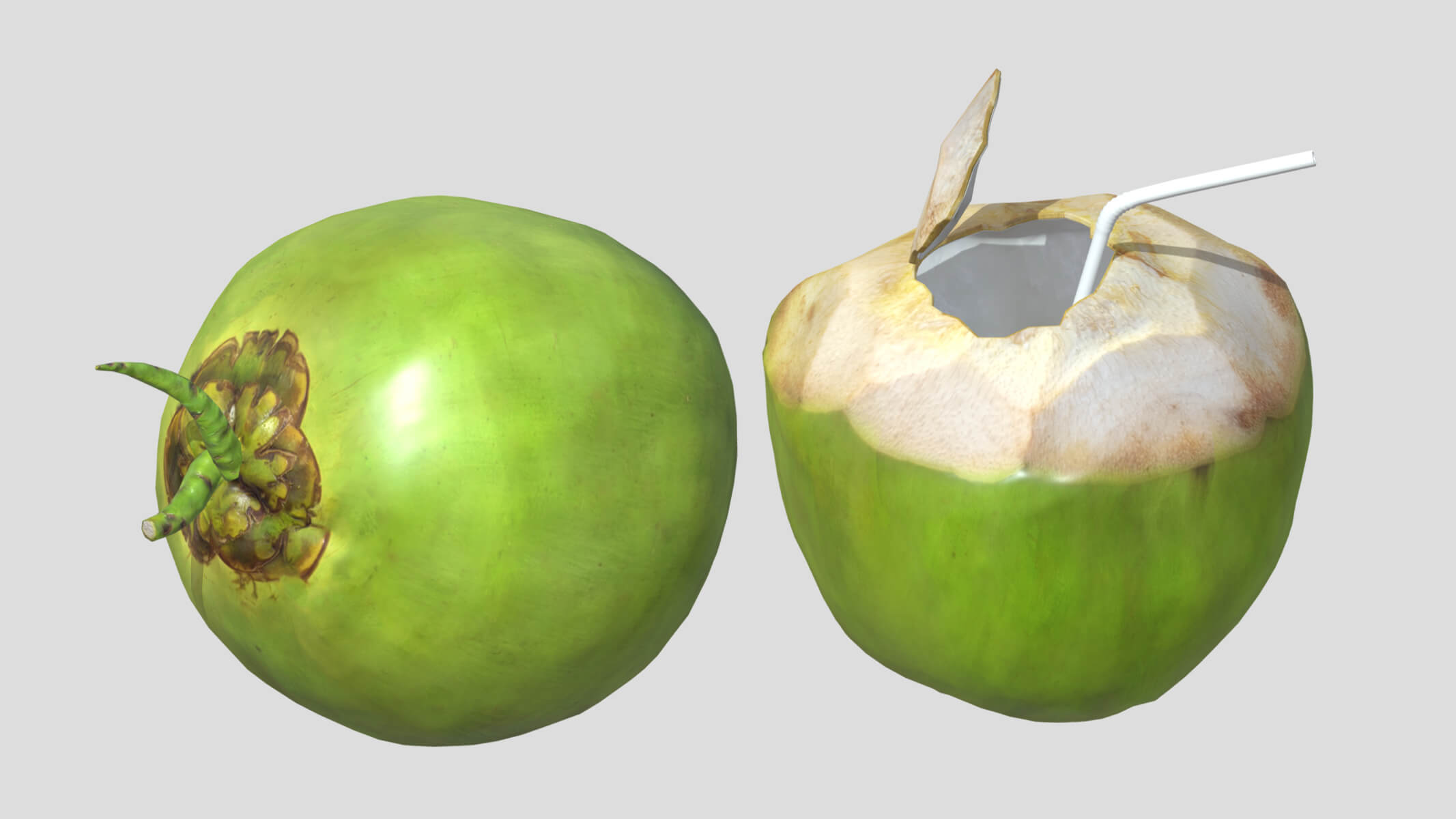 Coconut 02 Low Poly - 3D Model by frezzy