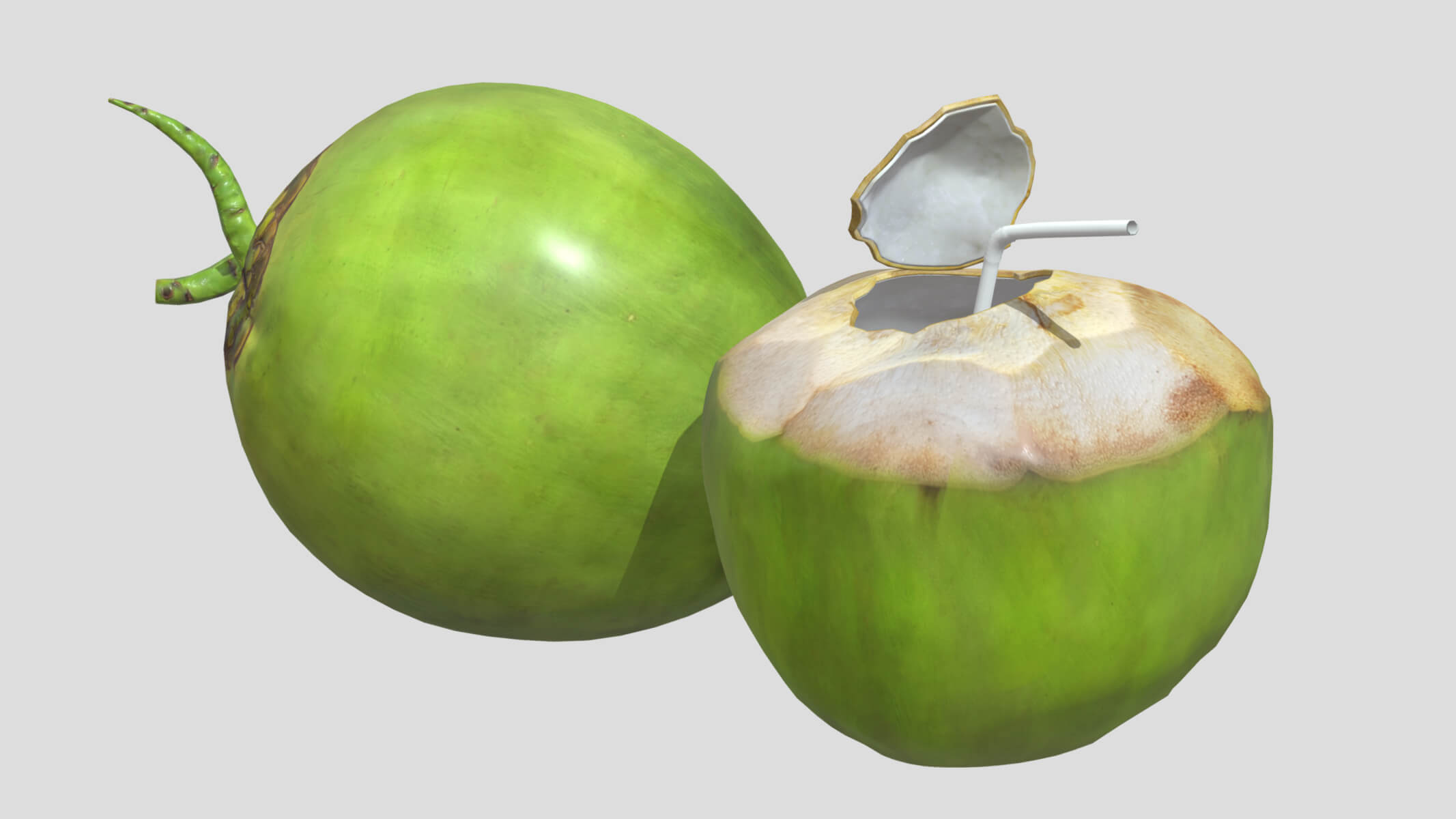 Coconut 02 Low Poly - 3D Model by frezzy