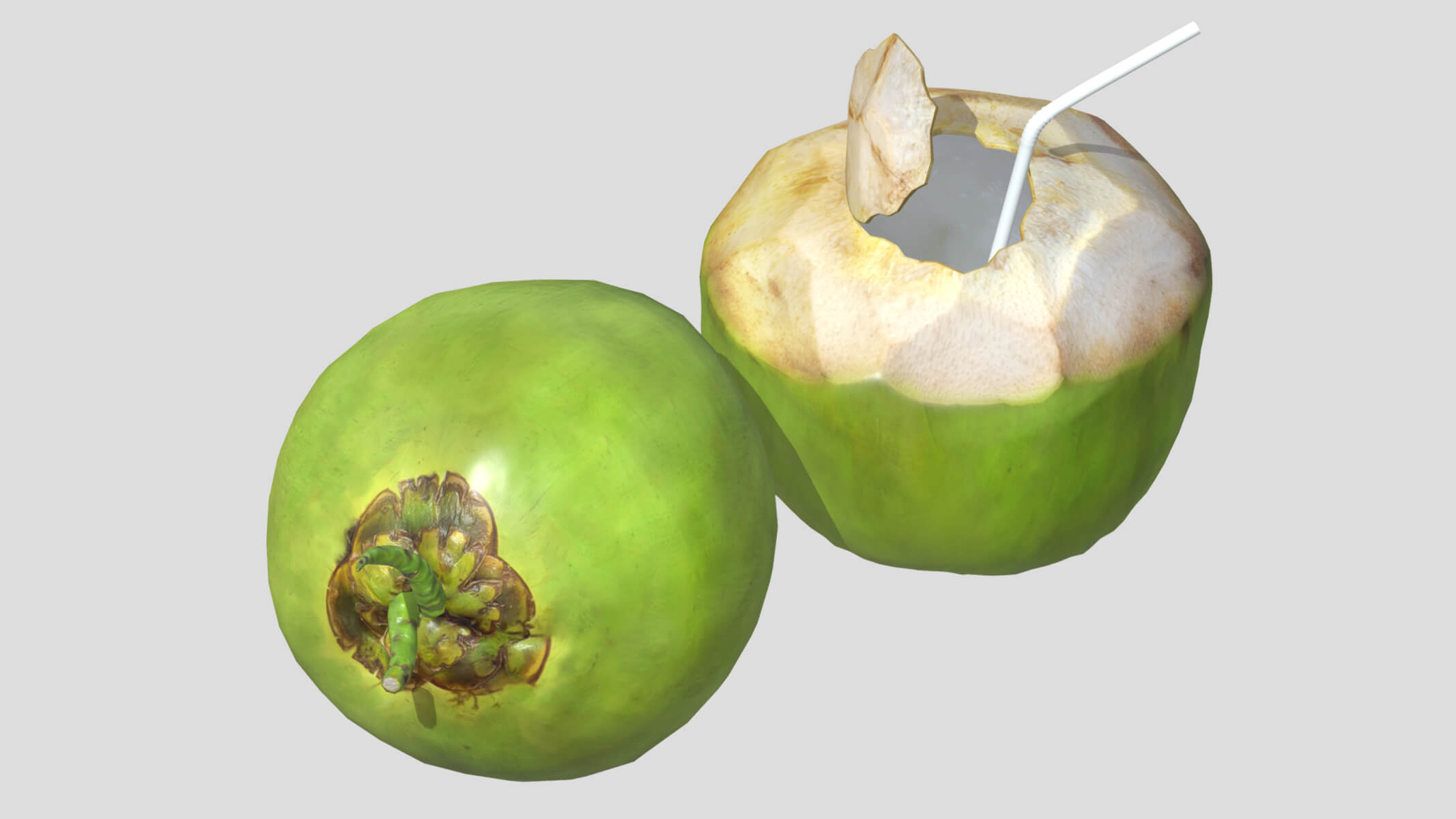 Coconut 02 Low Poly - 3D Model by frezzy