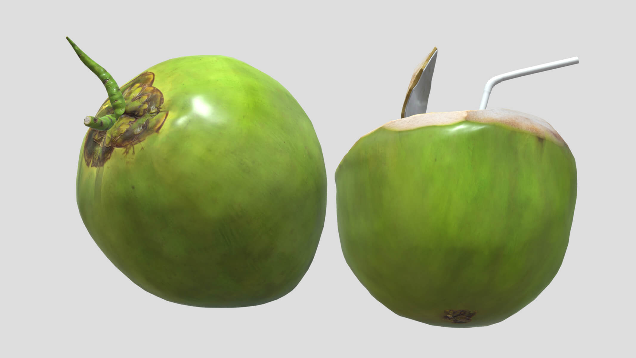 Coconut 02 Low Poly - 3D Model by frezzy