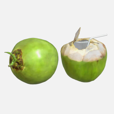 3D Models | Fruit | Coconuts | RenderHub