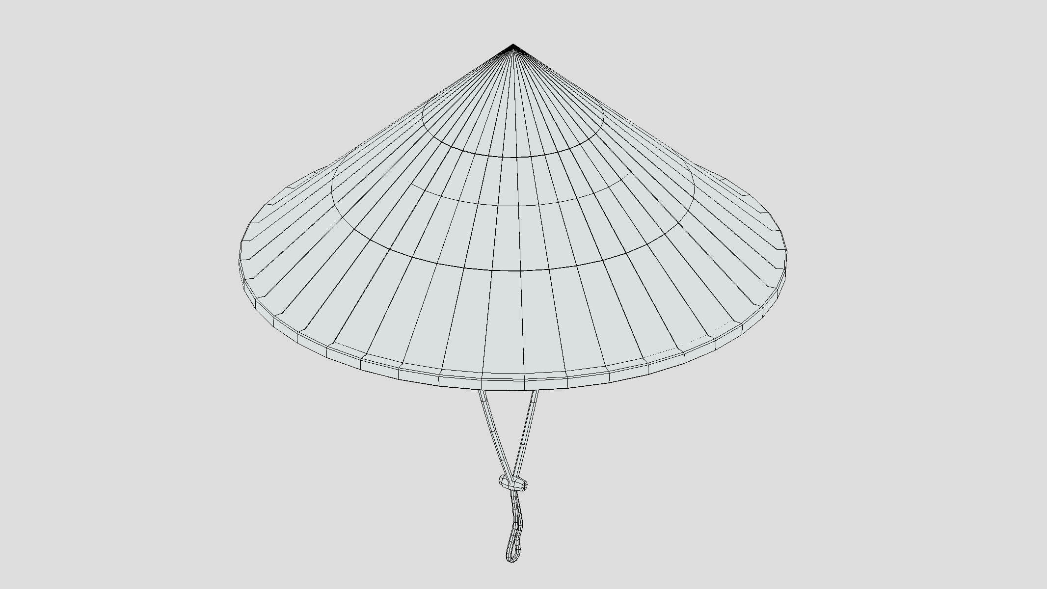 Conical Hat Low Poly - 3D Model by frezzy