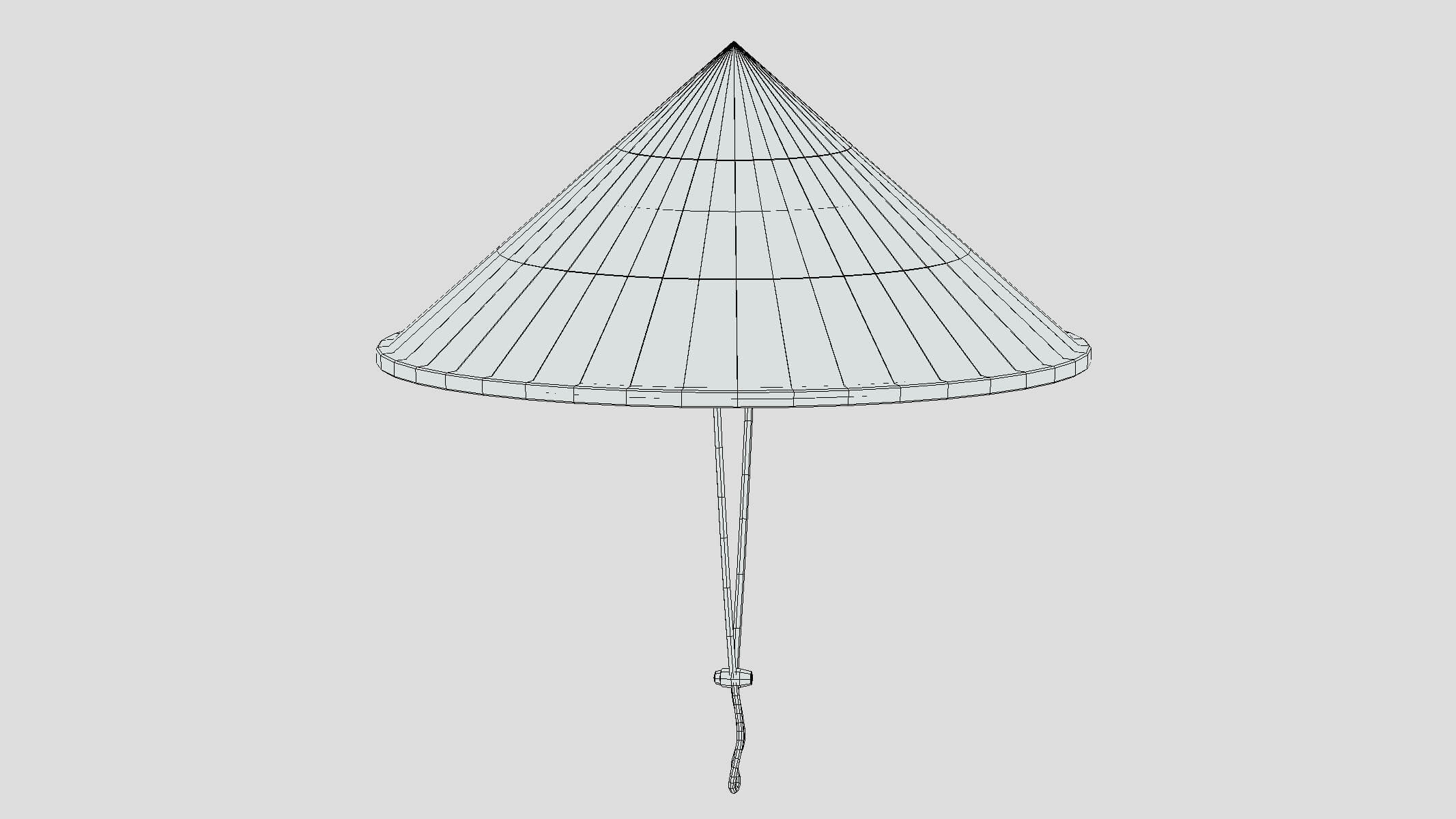 Conical Hat Low Poly - 3D Model by frezzy
