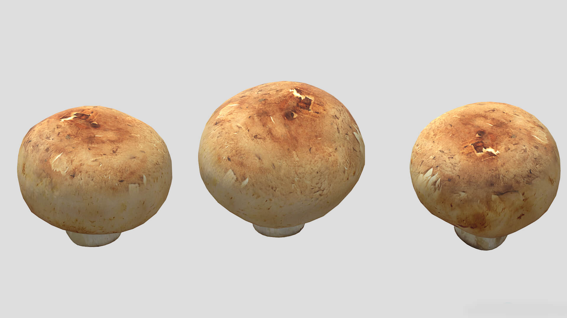 Cremini Mushroom Low Poly - 3D Model by frezzy