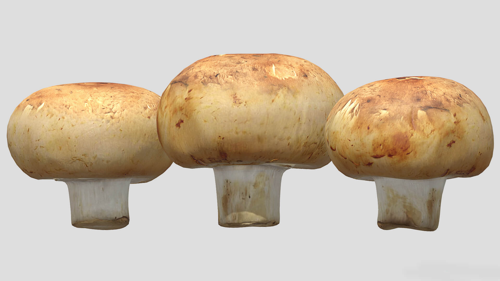 Cremini Mushroom Low Poly - 3D Model by frezzy