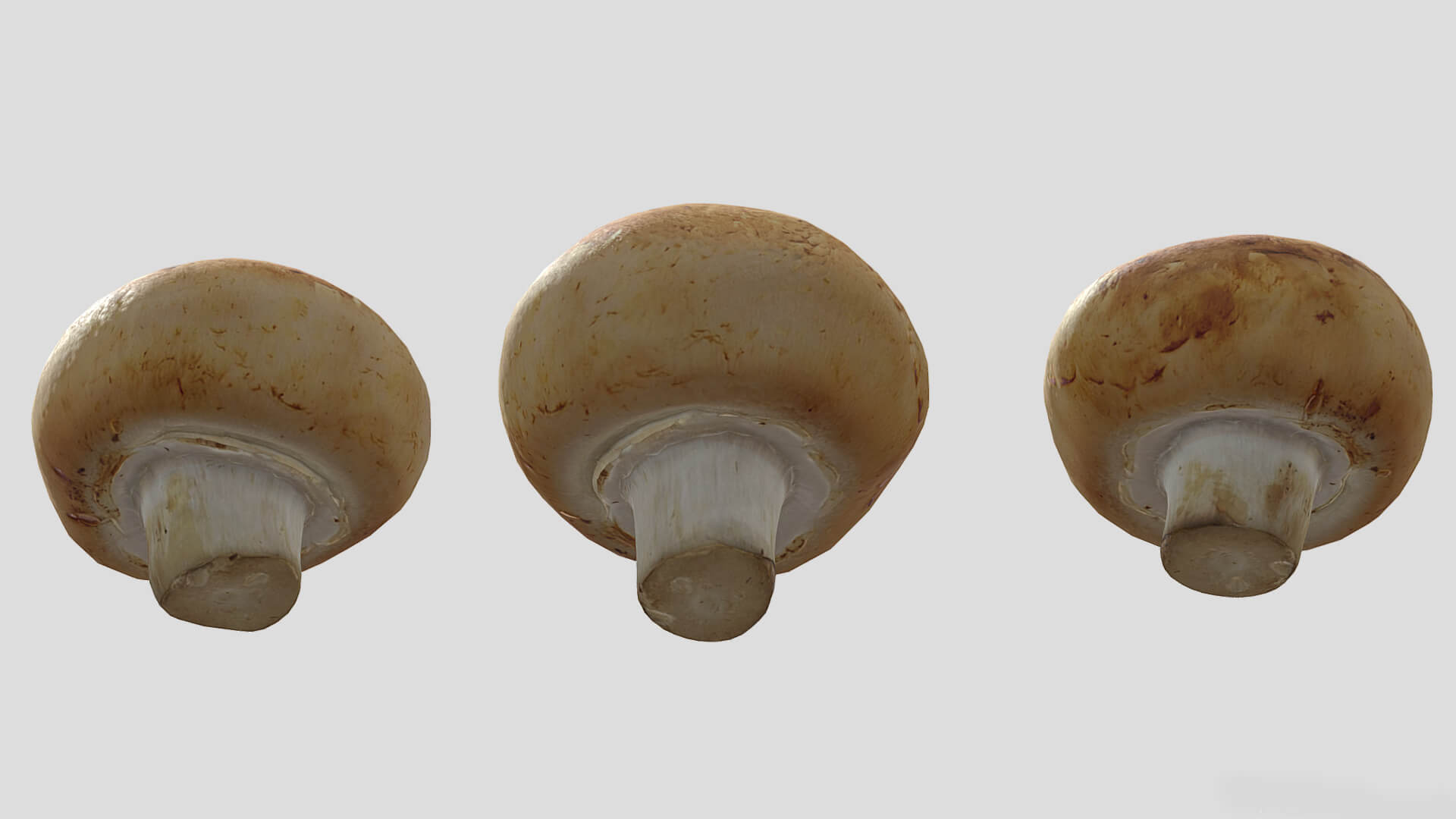 Cremini Mushroom Low Poly - 3D Model by frezzy