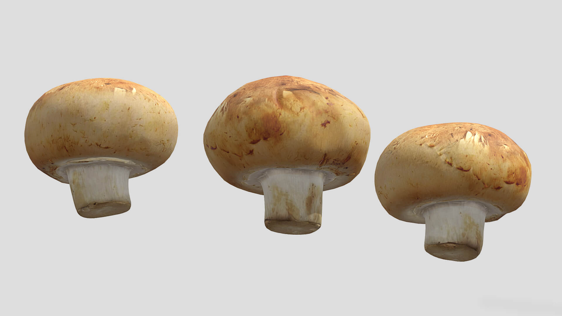 Cremini Mushroom Low Poly - 3D Model by frezzy